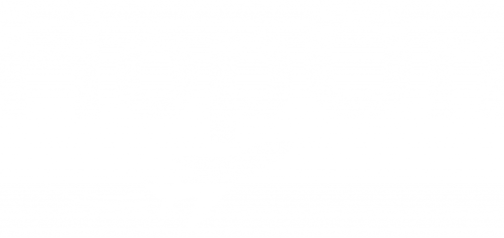 HopOn Jet – HopOn Fly Smart, Fly first